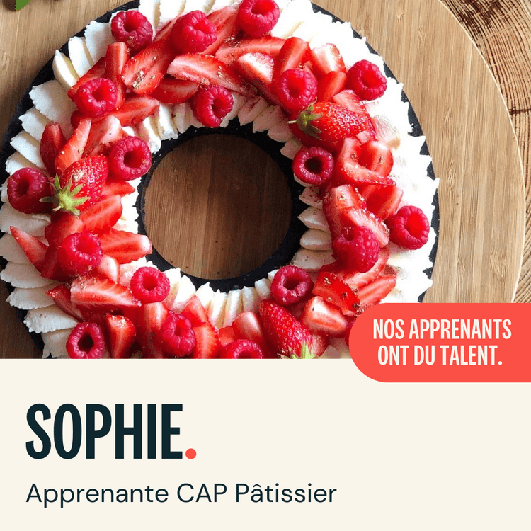 Le CFA CAP Interventions en maintenance technique des bâtiments de L ...